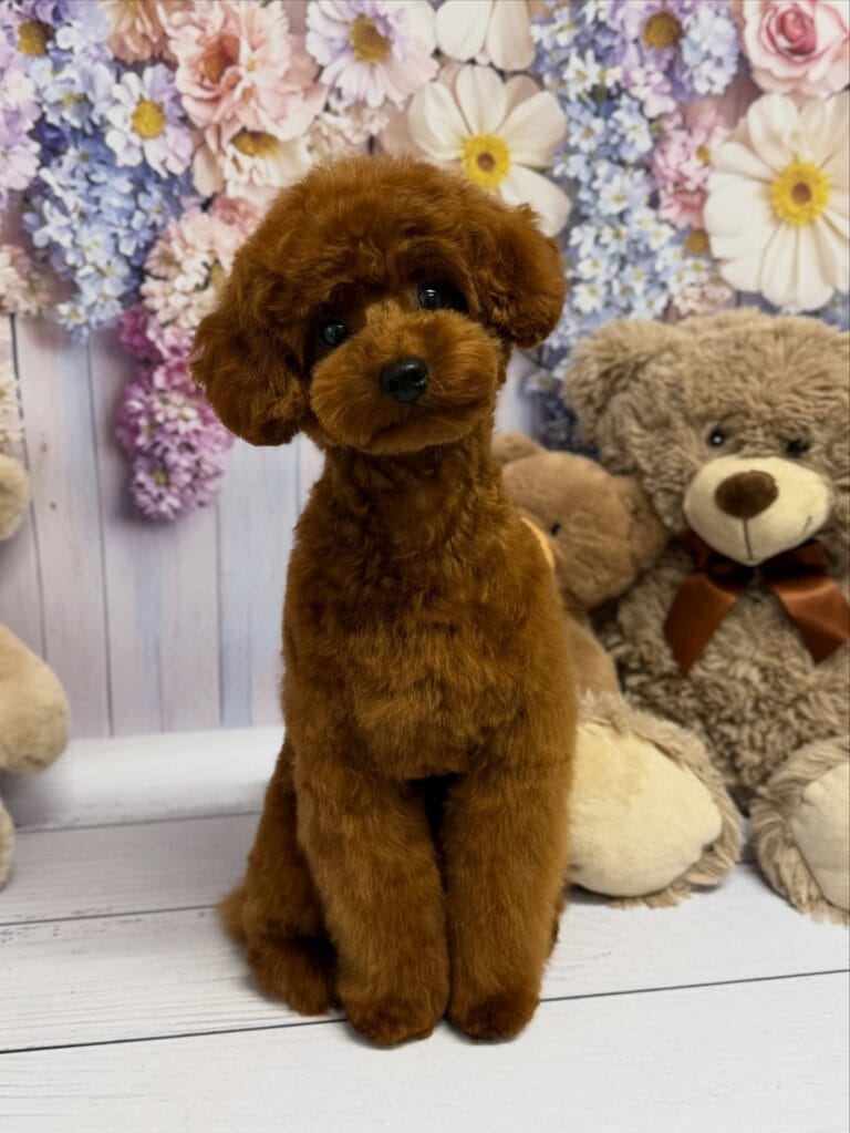 Cavapoo Haircuts: How to Keep That Teddy Bear Look Year-Round - Animalsman