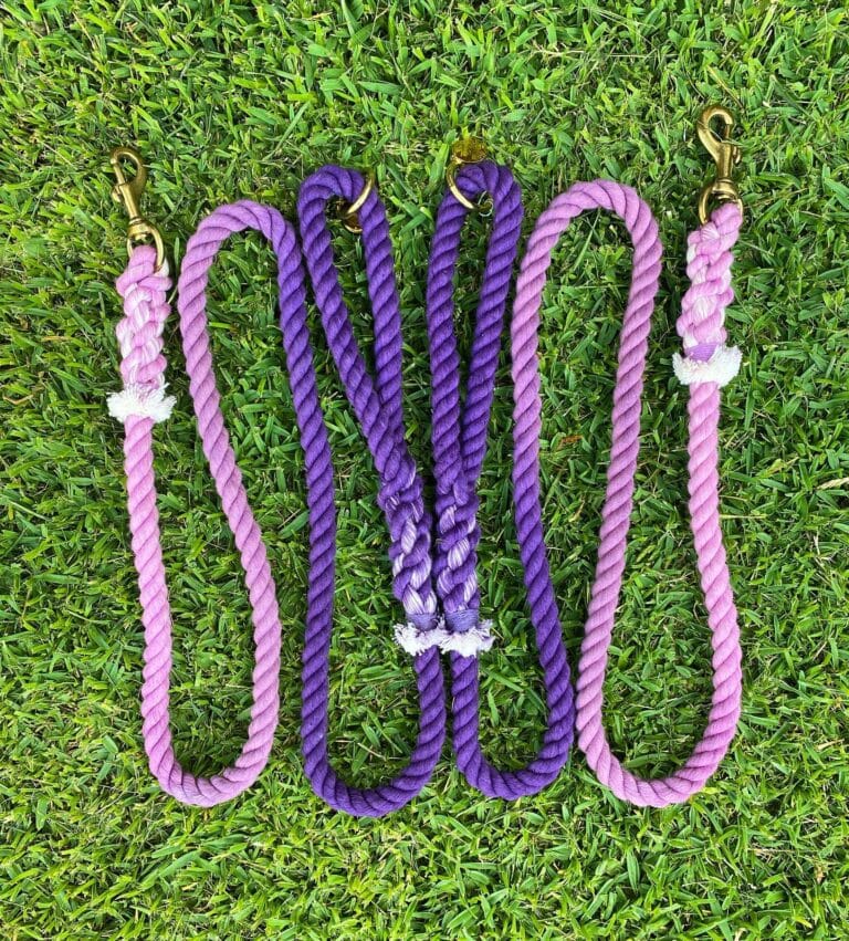 10 Inspiring Designs for DIY Dog Leashes - Animalsman