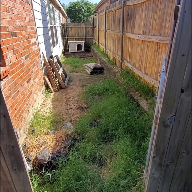 10 Inspiring Dog Run Designs for Your Side Yard - Animalsman