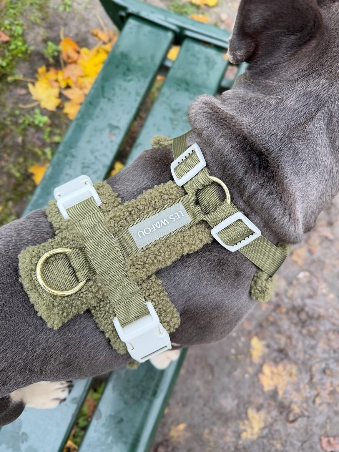 10 Free Dog Harness Sewing Patterns That Actually Fit Properly - Animalsman