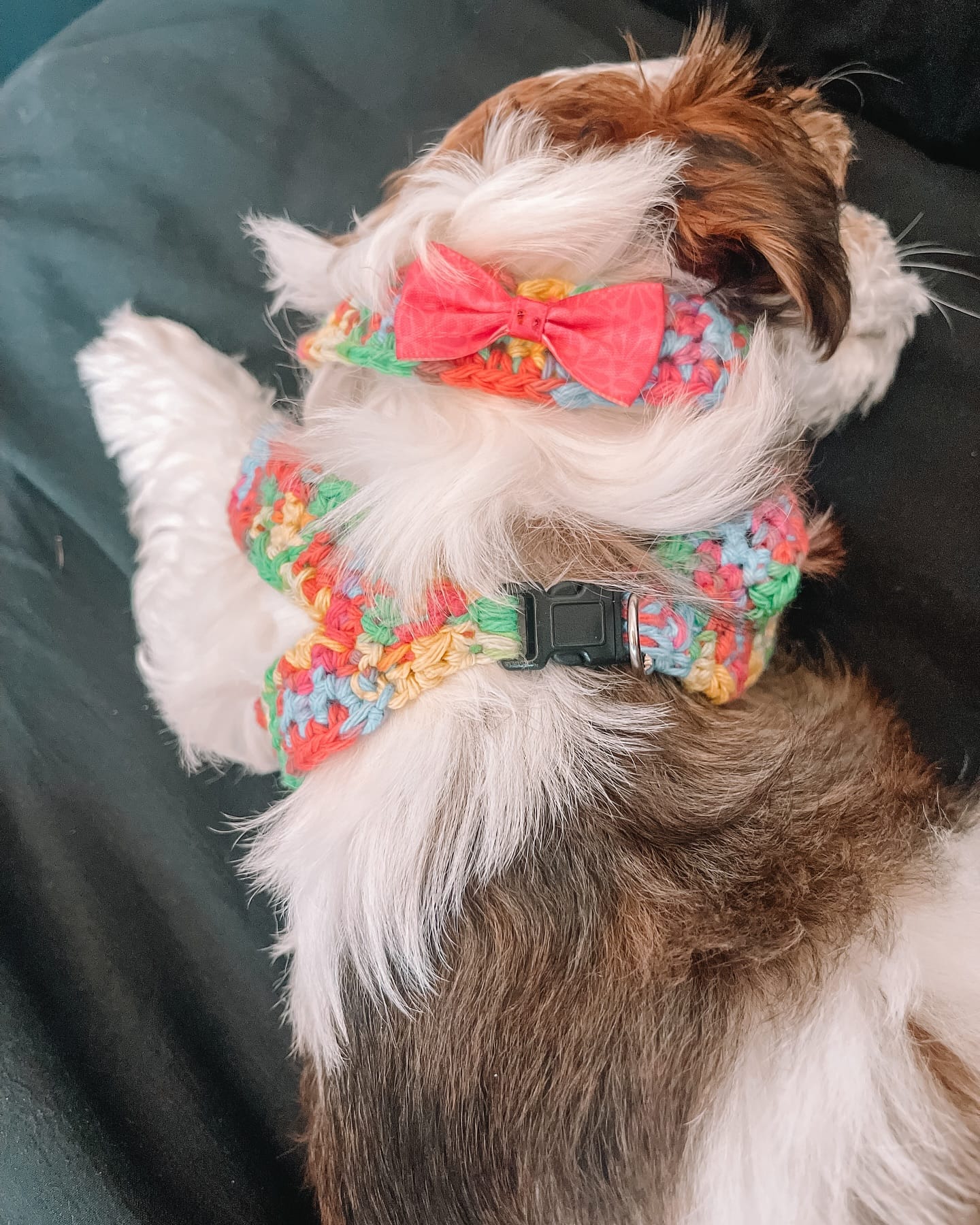 10 Crochet Dog Harness Patterns That Are Soft, Stylish, and Functional ...