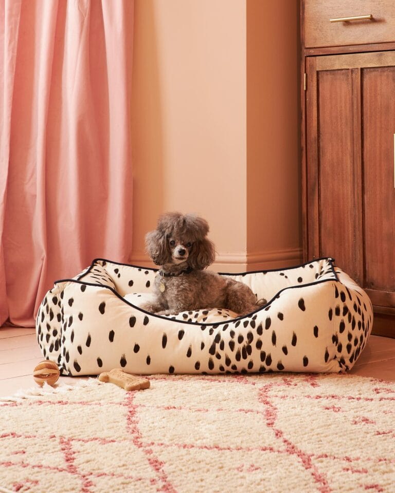 11 Cozy Dog Corner Ideas for Small Spaces - Animalsman