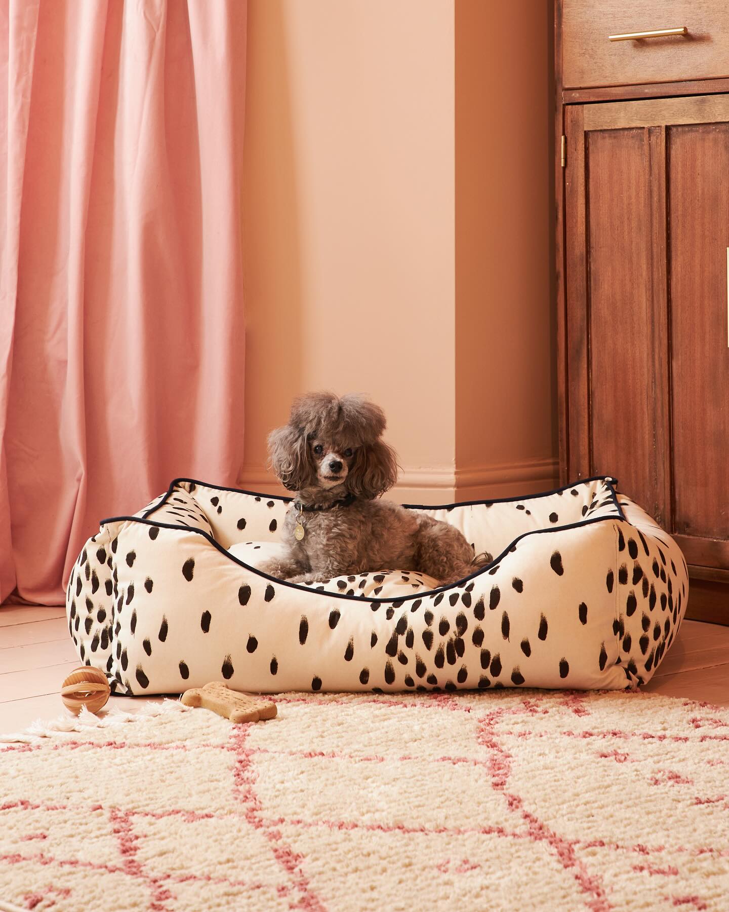 Small Apartment? 11 Dog Corner Ideas That Fit Without the Clutter ...