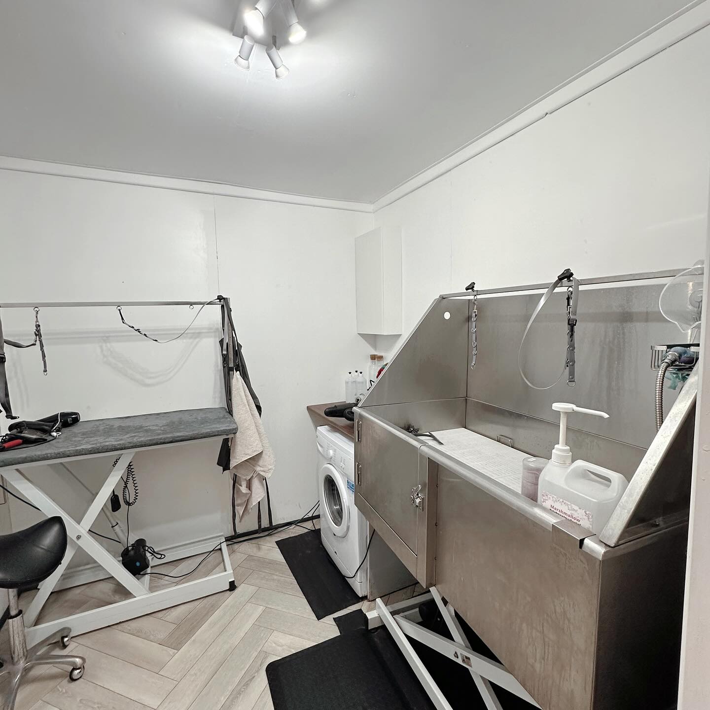 10 Pet Grooming Salon Designs That Make Clients Book Again - Animalsman