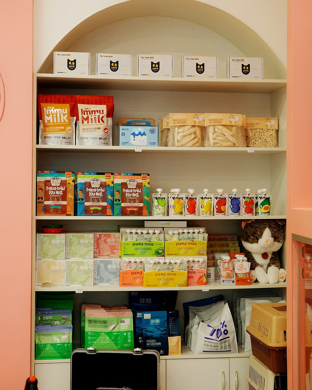 10 Pet Grooming Salon Designs That Make Clients Book Again - Animalsman