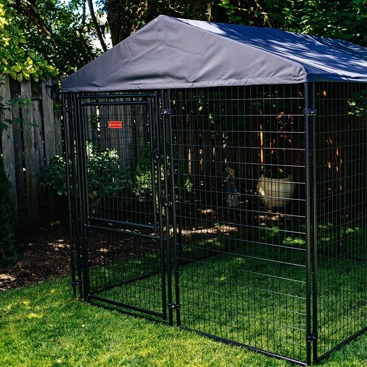 10 Garage Dog Kennel Setups That Are Secure, Warm, and Easy to Clean ...