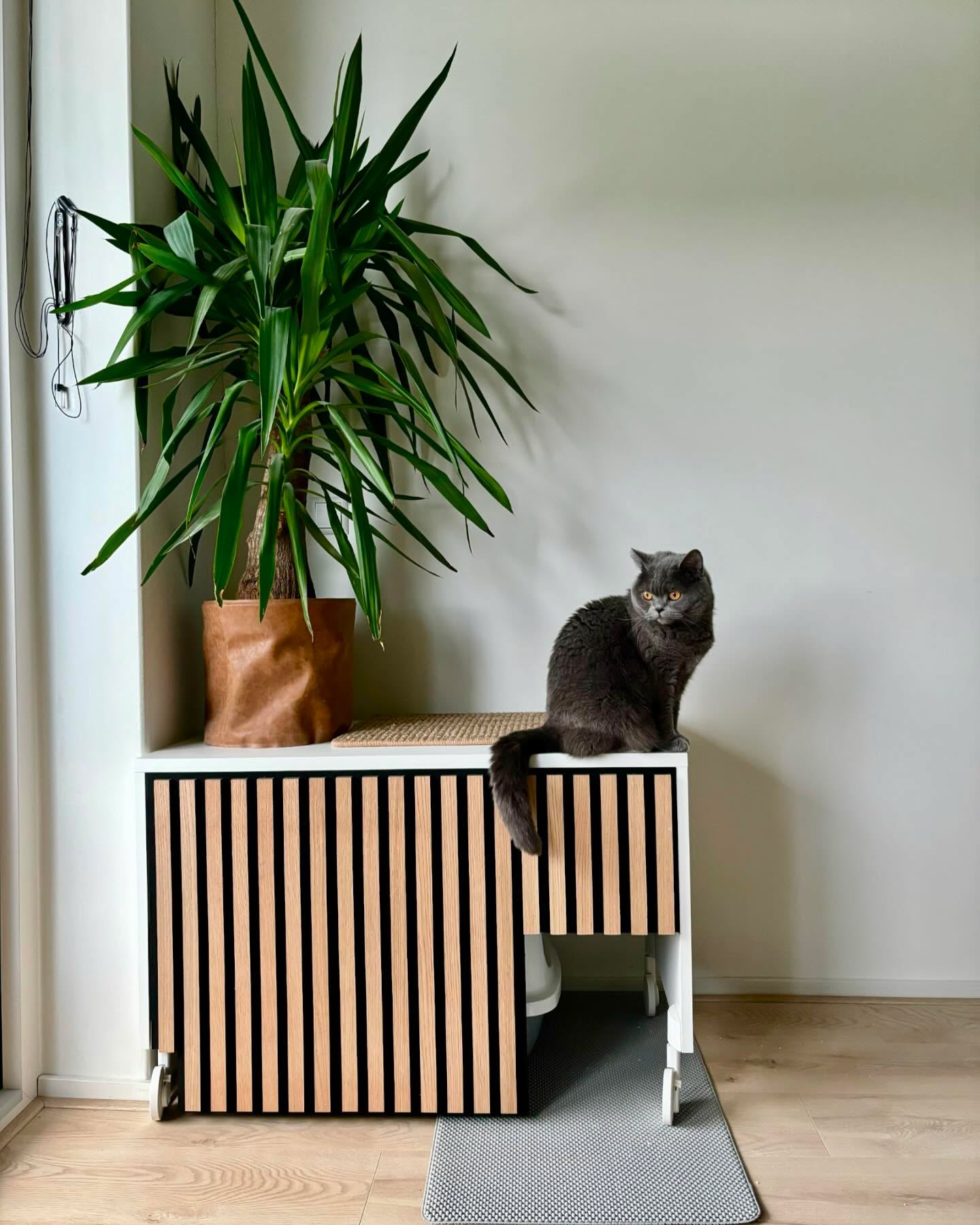 DIY Cat Projects Worth a Weekend Your Cat Will Actually Thank You For ...